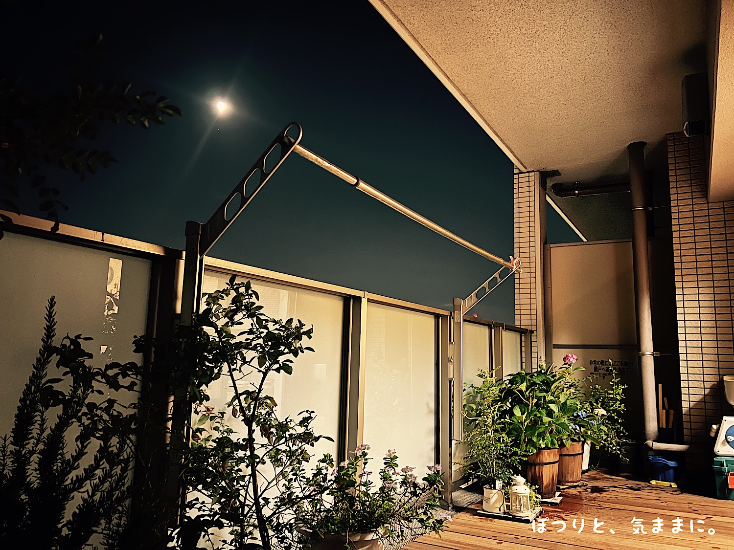 無くし物 │ ぽつりと、気ままに。